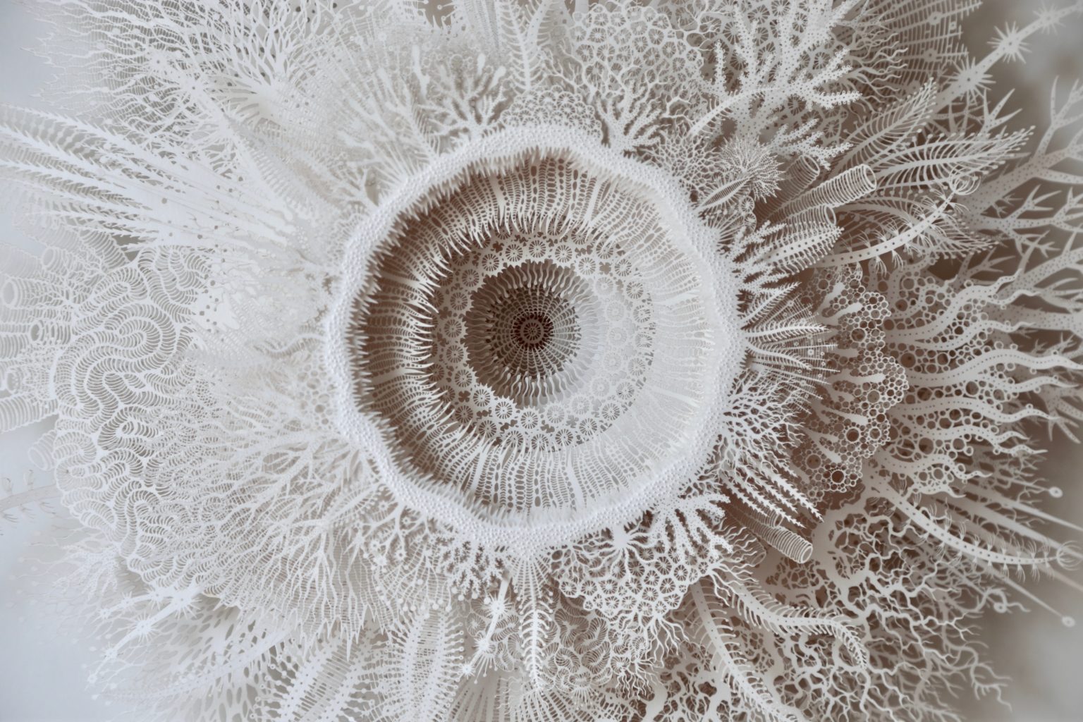 Rogan Brown - Galerie Bettina - Paris - Art contemporain