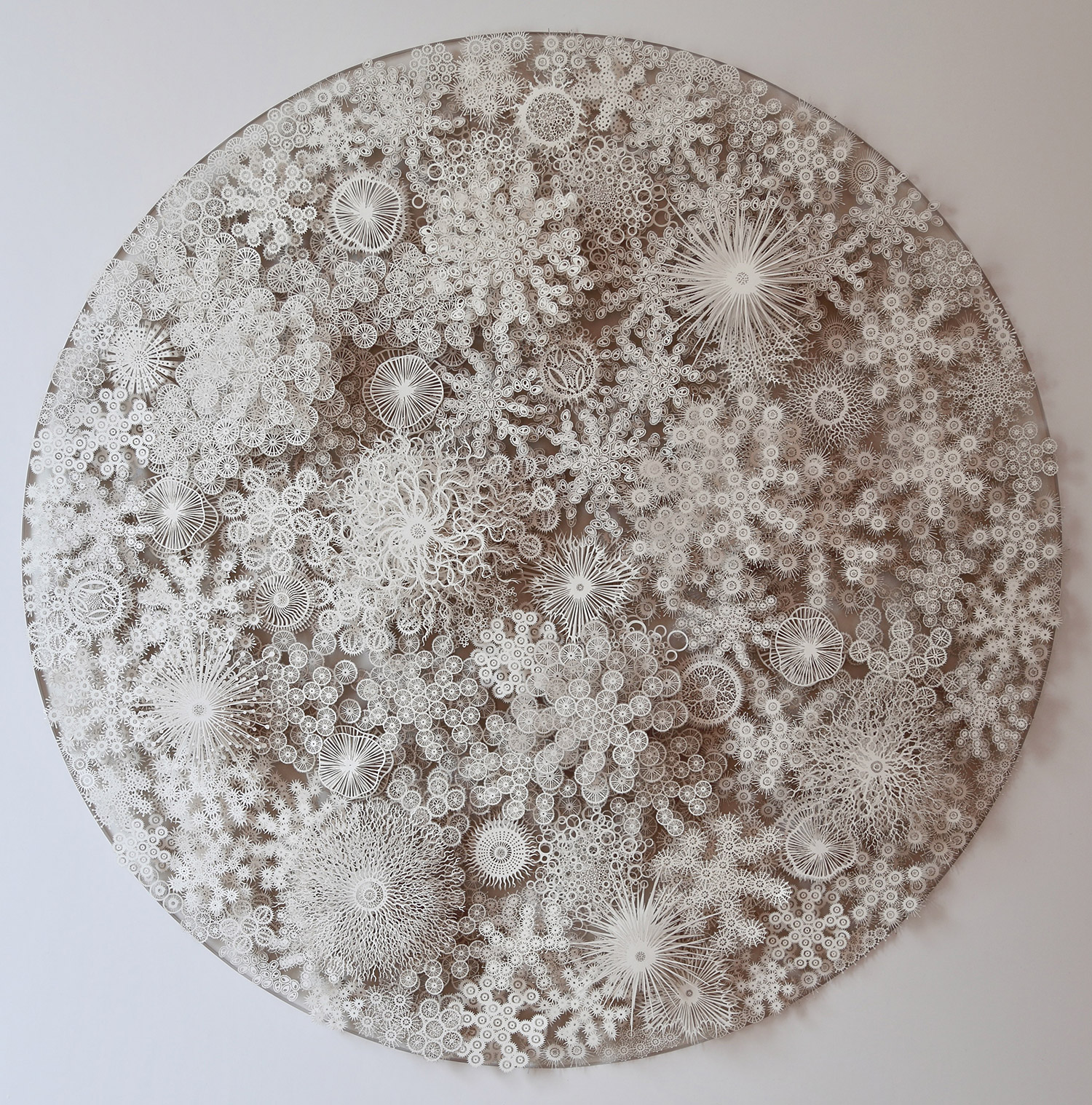 Rogan Brown - Galerie Bettina - Paris - Art contemporain