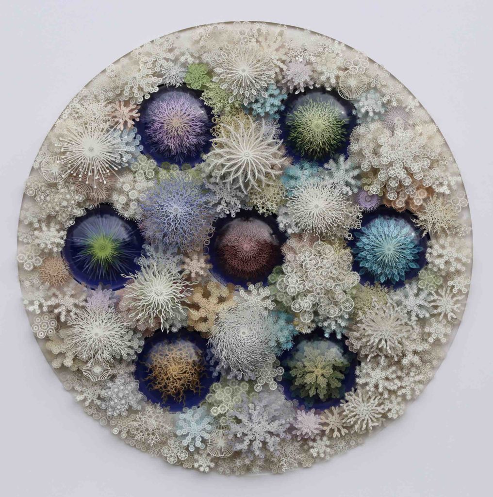 Rogan Brown - Galerie Bettina - Paris - Art contemporain