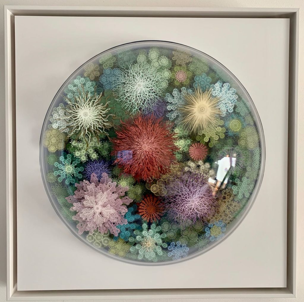 Rogan Brown - Galerie Bettina - Paris - Art contemporain